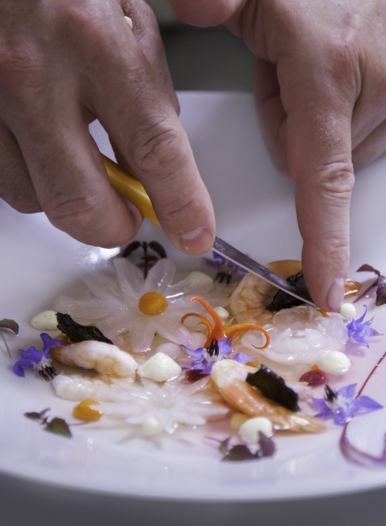 Creating, producing, and developing innovative ingredients.